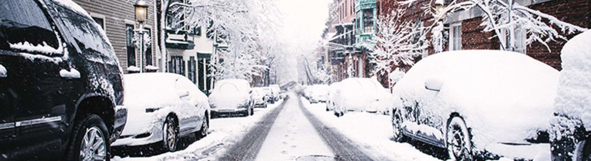 Winter Products Supply Store | Reams